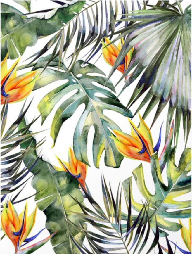 Tropical Garden | abstract art, interior art, artwork, hand painted ...